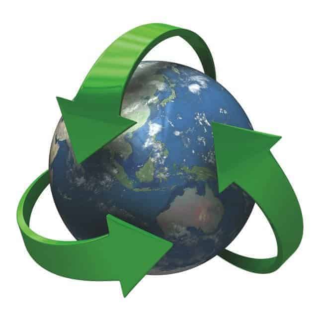 Waste Not, Want Not » BedTimes Magazine